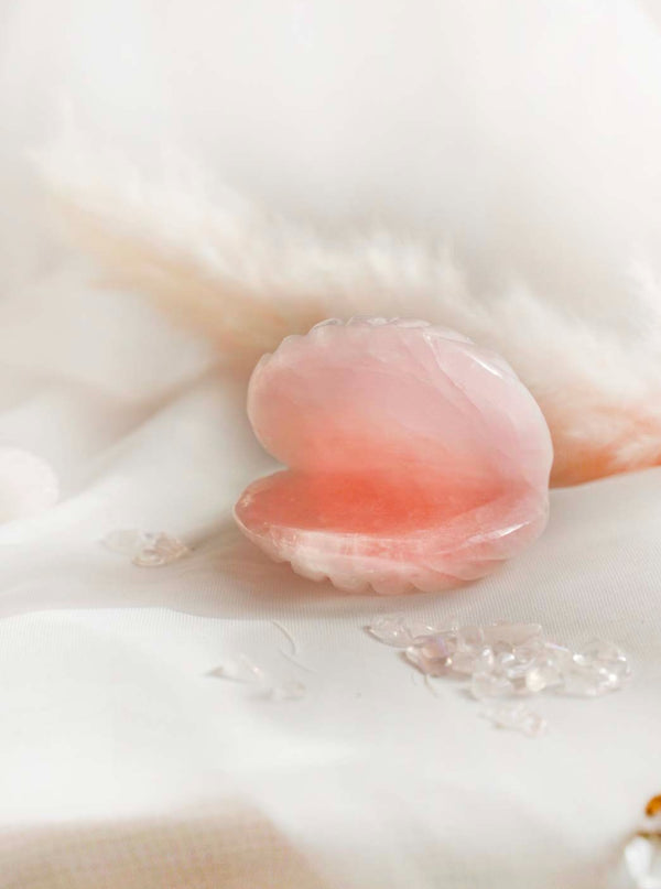 Rose Quartz Clam Shell - Dream Den Crystals
